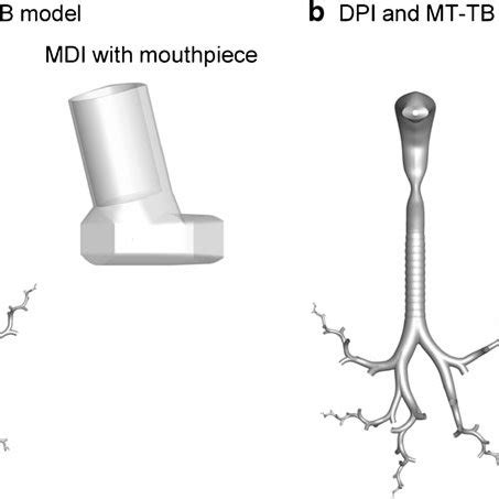 PDF Comparing MDI And DPI Aerosol Deposition Using In Vitro Experiments And A New Stochastic