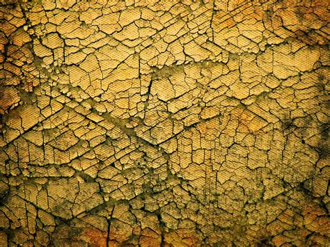 Several Real Textures All Free Images Alternativestock