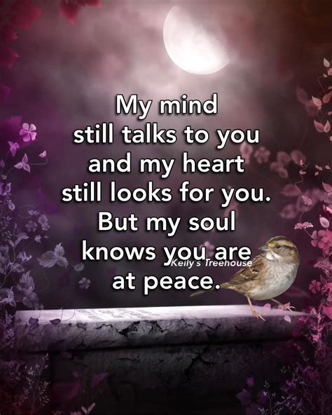 My Mind Still Talks To You And My Heart Still Looks For You But My