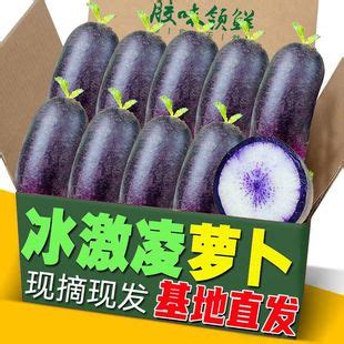 冰激凌萝卜冰糖心水果潍坊山东特产直发新鲜胶东紫紫美人一件批发 阿里巴巴