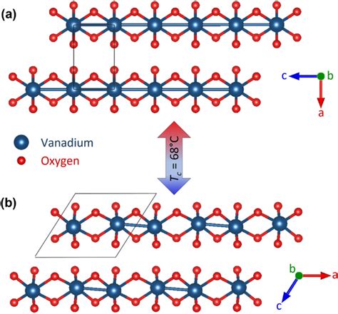 钨取代二氧化钒的局部结构解析 V 1 X 1 X W X X O 2 2 Scientific Reports X Mol