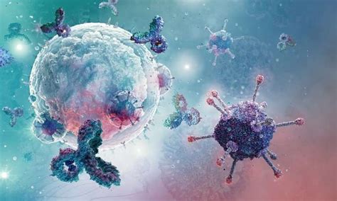 Cd74 Level Predicts Immunotherapy Response In Bowel Cancer Drug