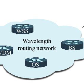The Experimental Topology Of T W DM Networks The Entangled Photon