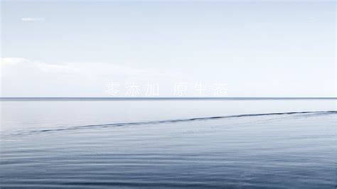 Msekko米可儿 品牌设计刘兵克 站酷zcool