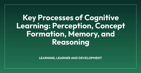 Learning Learner And Development • Teachers Institute