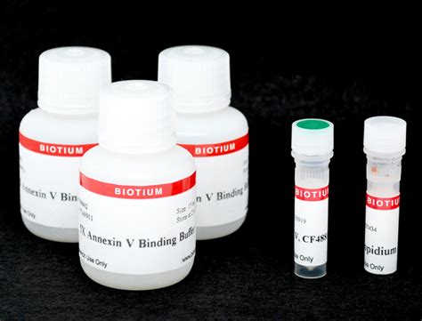 Pe Annexin V Apoptosis Detection Kit I 60 Off