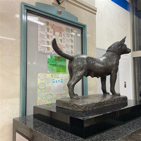 忠犬タマ公像 新潟市のモニュメント