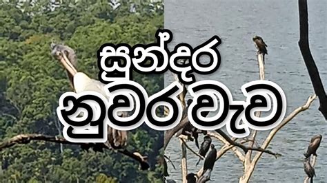 සුන්දර🚣 නුවර වැව Youtube