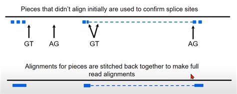 【rna Structures】rna Seq 分析 Rna转录的重构和前沿测序技术转录组测序和分析原理 Csdn博客