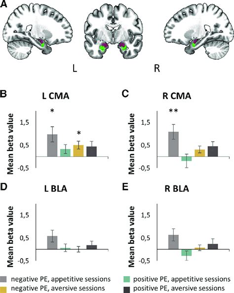Results Of Parametric Modulation Analysis In The Amygdala Subdivisions