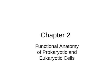 PPT Chapter 2 Functional Anatomy Of Prokaryotic And Eukaryotic Cells