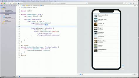 Introducing Swiftui Building Your First App