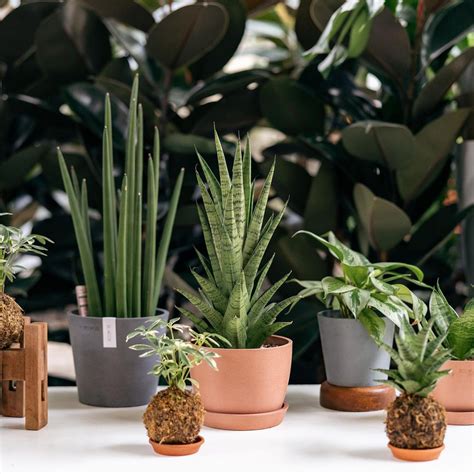 The Art Of T Giving Thoughtful Presents For Every Type Of Relationship