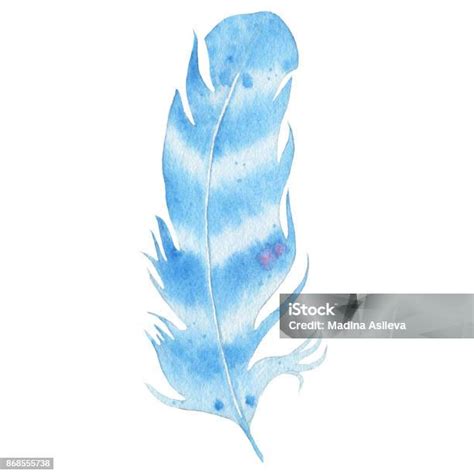 흰색 배경에 고립 수채화 손으로 그려진된 Boho 깃털 계절에 대한 스톡 벡터 아트 및 기타 이미지 계절 깃털 날기