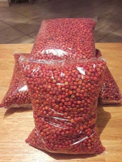 Chile Chiltepin En Mercado Libre México