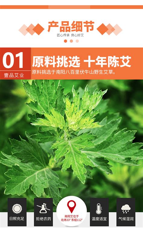 艾叶与艾绒效果一样吗 大山谷图库