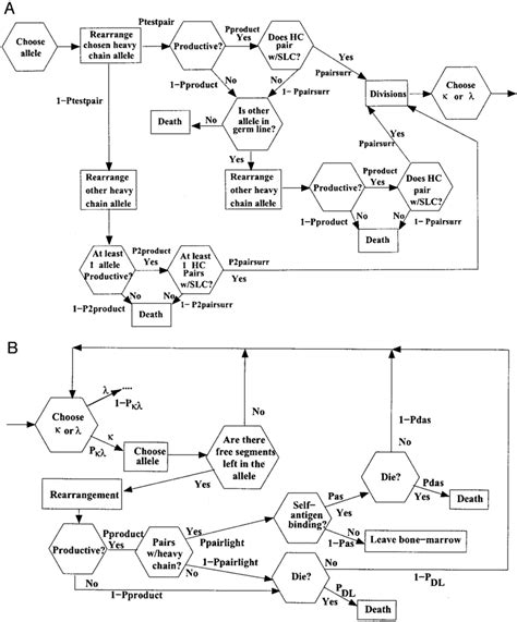Structure Of The Simulation Algorithm Each Time A New Cell Is Created Download Scientific