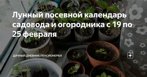 Лунный посевной календарь садовода и огородника с 19 по 25 февраля Дачный дневник пенсионерки