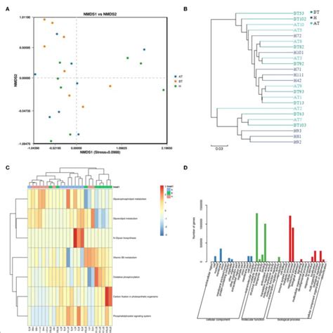 Figure Functional Capability Analysis For Shotgun Metagenomic