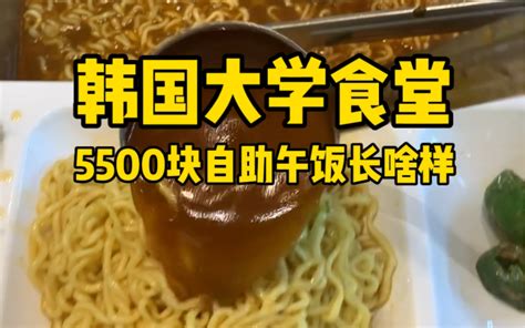 韩国大学食堂｜贴秋膘了 刘文姬啊 刘文姬啊 哔哩哔哩视频