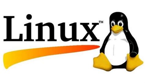 Windows核Linux系统哪个好优缺点有哪些