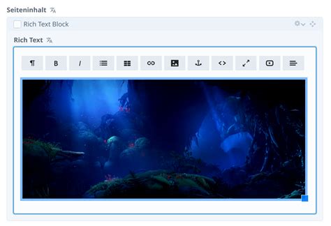 image resize handle is not positioned correctly sometimes · issue 337