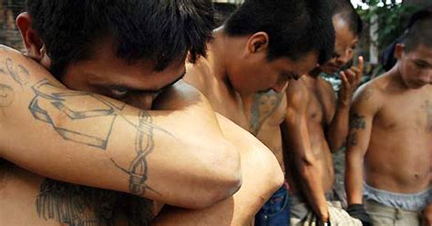 Detienen A El Bufón Capo De La Mara Salvatrucha Infobae