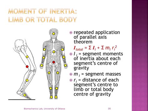 Ppt Body Segment Parameters Powerpoint Presentation Free Download