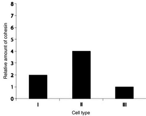 Topic 10 Meiosis And Sexual Life Cycles Flashcards Quizlet