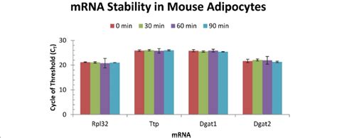 Ttp And Dgat Mrnas Were Stable In Mouse Adipocytes The Differentiated
