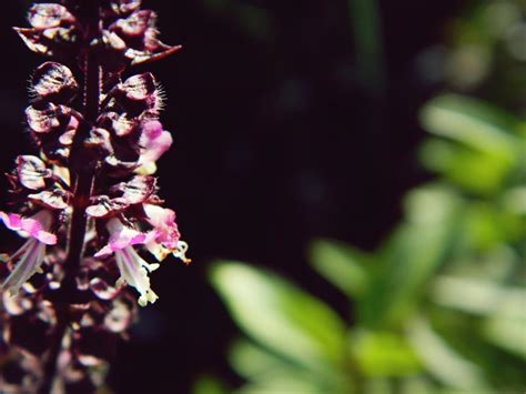 Different Than Others By Jaylphotography On Deviantart