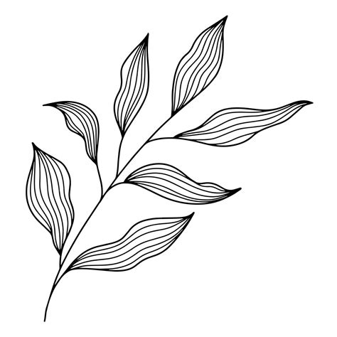 Premium Vector Hand Drawn Leaves In Engraved Line Art Style
