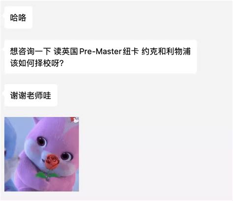 留学问答英国Pre Master该如何择校 知乎