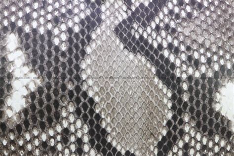 Python Handbag For Lady Mini Birkin 179