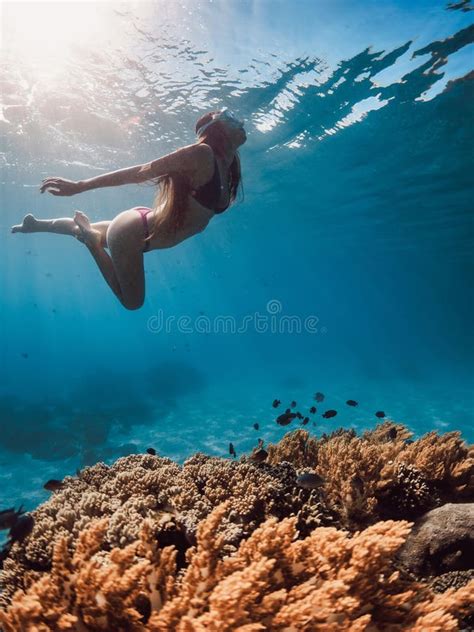 Woman Swims Underwater In Tropical Sea Snorkeling In Hawaii Stock