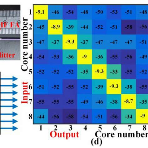 A The Cross Section Of Fabricated Core Separator Chip At The Fa Side