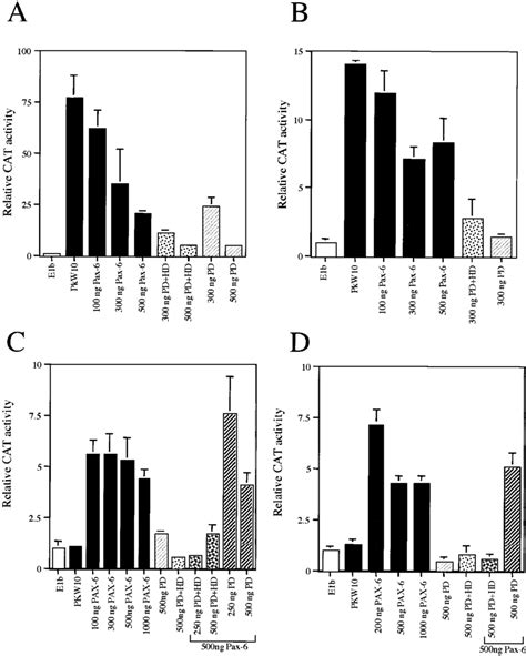 The Ability Of Truncated Pax 6 Proteins To Repress Pax 6 Mediated