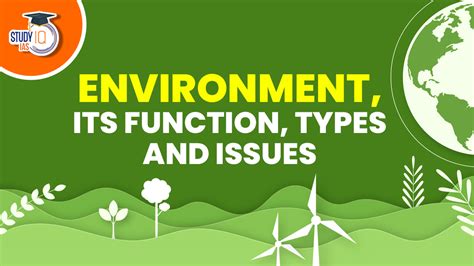 Environment Meaning Functions Types And Issues