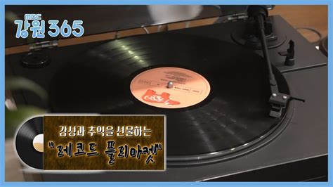 [강원365] 춘천 레코드 플리마켓 Youtube
