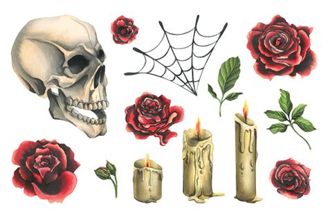 빨간 장미 양초 거미줄이 있는 인간의 두개골 할로윈 죽은 자의 날 Dia De Los Muertos를 위해 손으로 그린 수채화