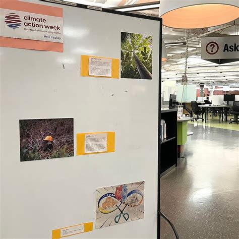 Mcmaster University Libraries Maclibraries • Instagram Photos And Videos