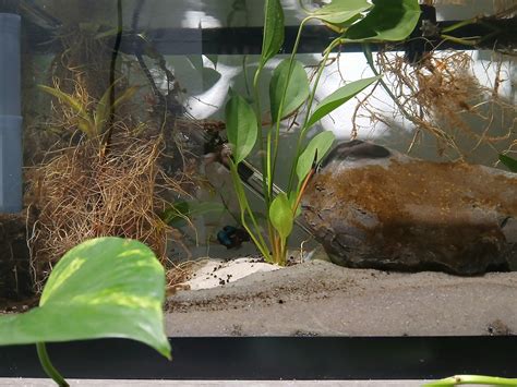 Aquarium Co Op Online Store