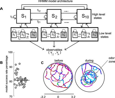 figures and data in statistical structure of locomotion and its
