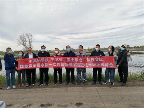 “黑土粮仓”科技会战镇赉示范区召开新技术现场观摩会 水稻一次性机插侧深施肥技术与水稻有序抛秧机械化技术