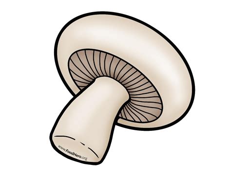 Mushroom Illustration Mushroom Stuffed Mushrooms Food Clipart Food