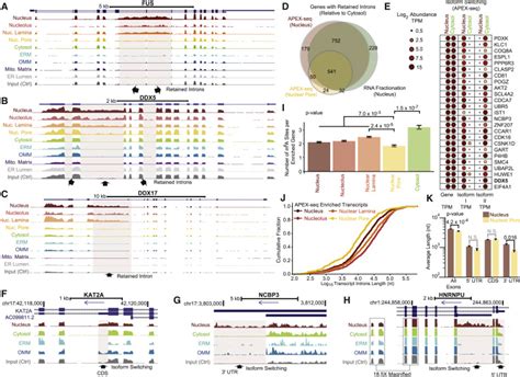 Atlas Of Subcellular Rna Localization Revealed By Apex Seq Cell