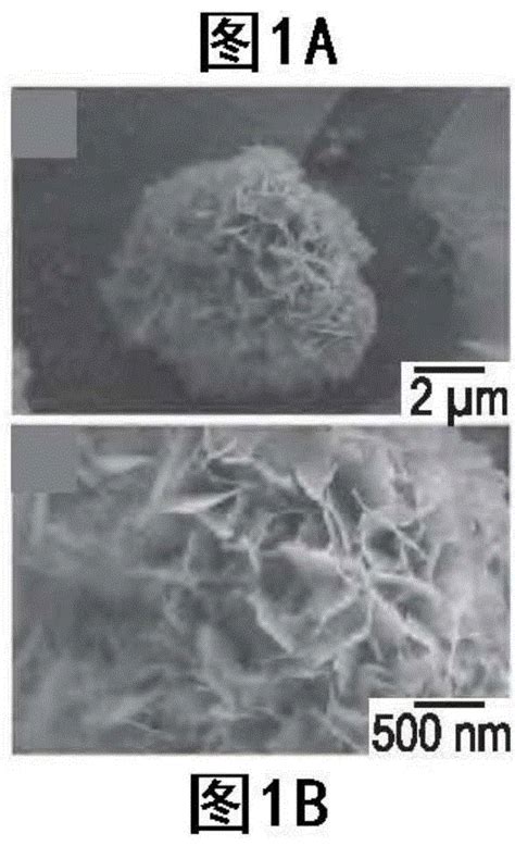 用于持续递送生物活性分子的矿物质涂覆微粒的制作方法