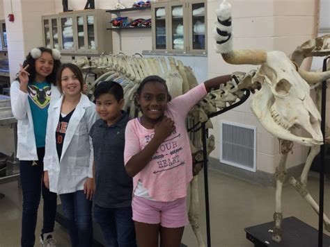 Msu College Of Veterinary Medicine Day Camp Educating And Cultivating