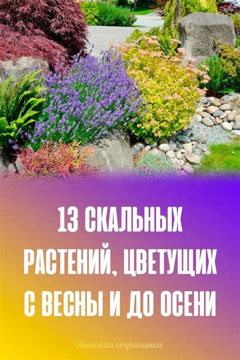 Сад и огород Постила Alpine Garden Vegetable Garden Design Garden Tattoos