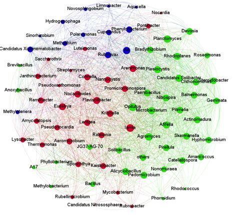 科学网—微生物 物种丰度 网络图 R语言 Gephi Network 靳泽星的博文